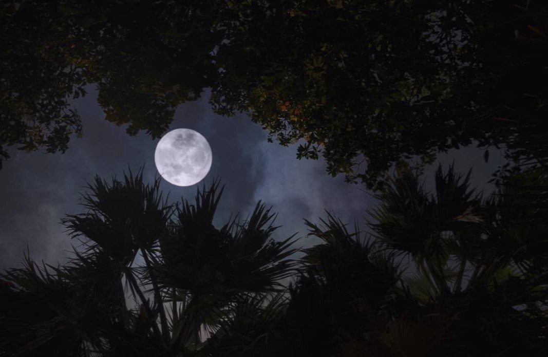 Moon in 8th House – YOUR FEARS - Triad Astrology